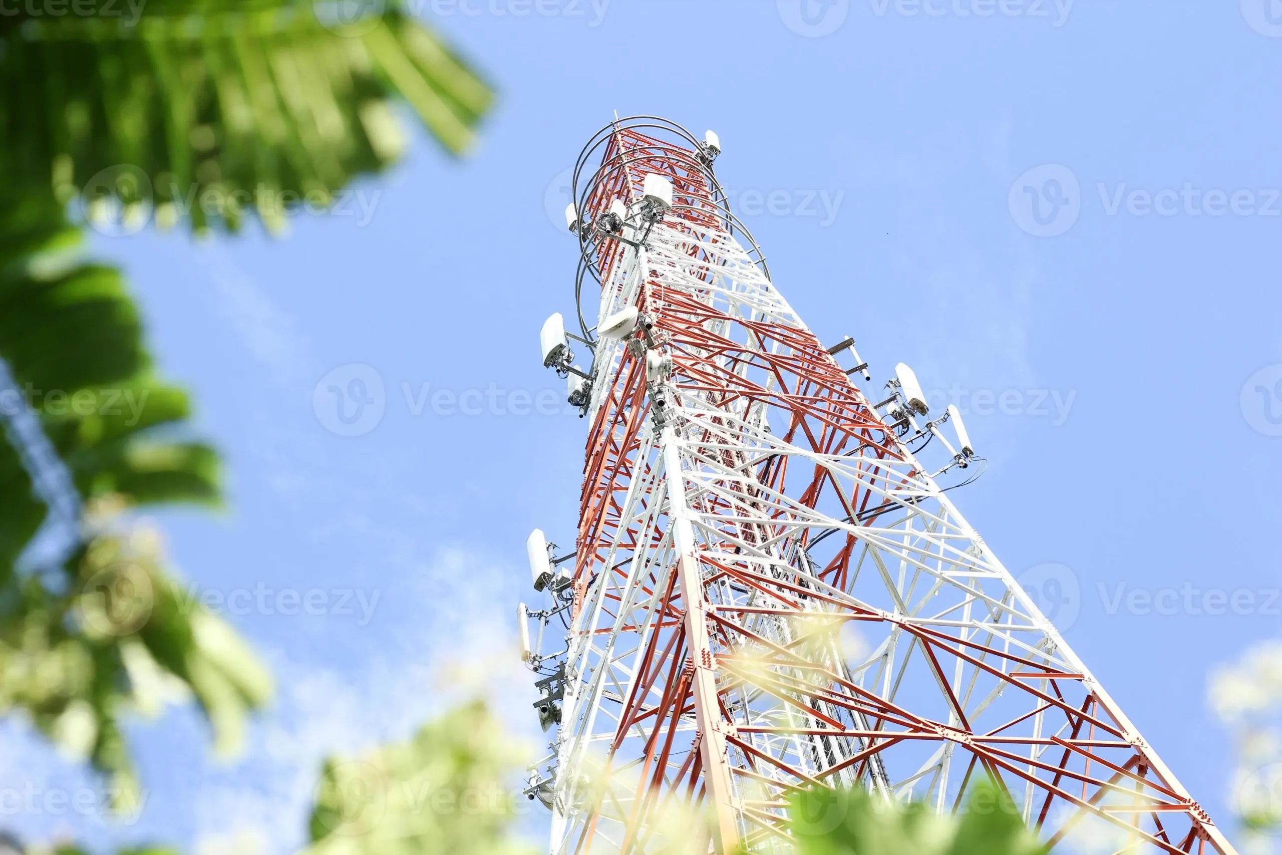 La Torre De Internet: El Corazón De La Conectividad - Coop La Lonja
