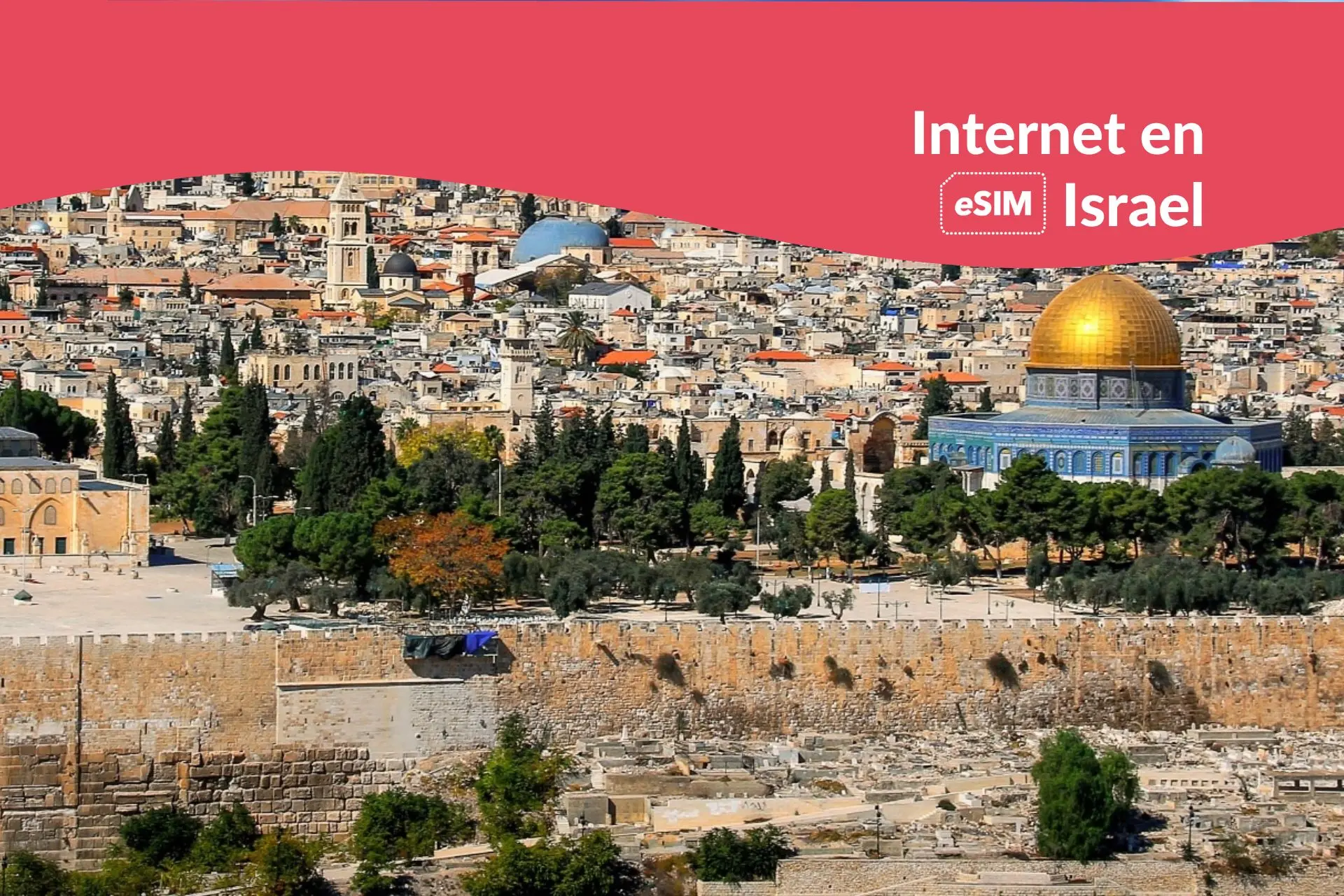 Internet En Israel: ¡Elige La Mejor Opción Para Tu Viaje! - Coop La Lonja