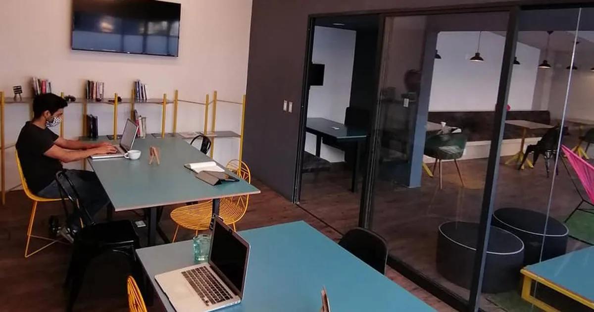 Trabajar Con Wifi En Cdmx: Los Mejores Cafés Y Espacios - Coop La Lonja